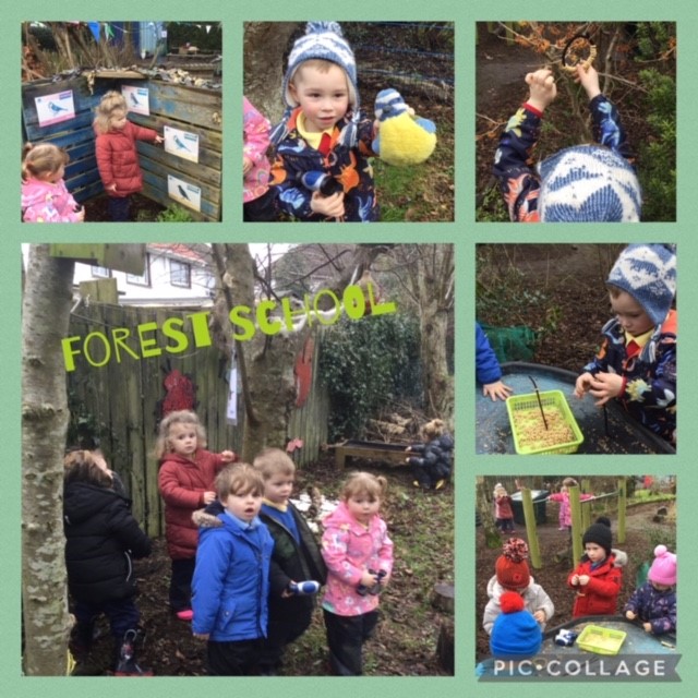 Forest School